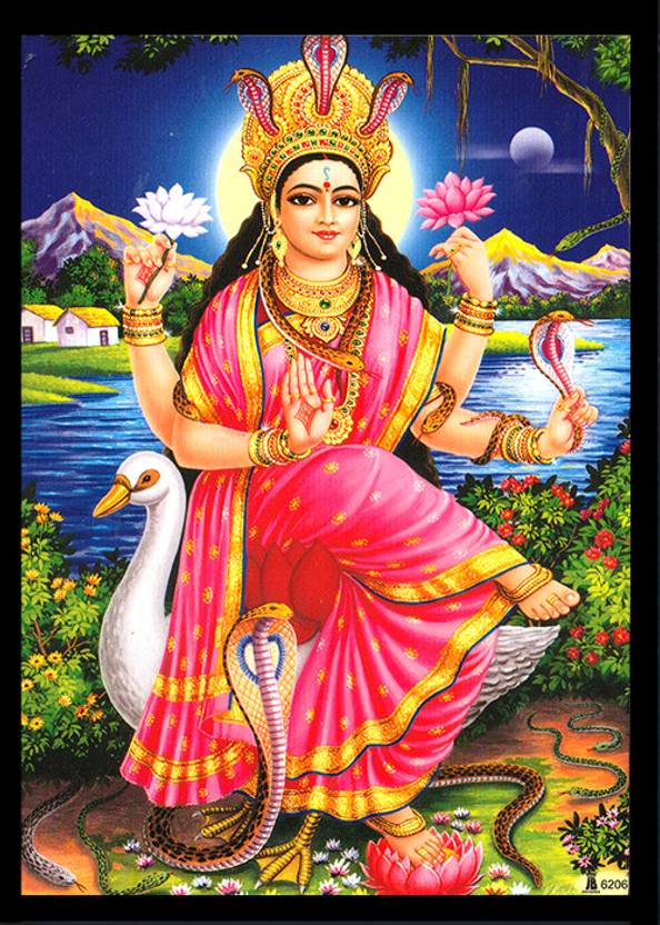 Deshkart MATA MANASA DEVI (5 INCH X 7 INCH) LAMINATED PHOTO WITH BACK ...