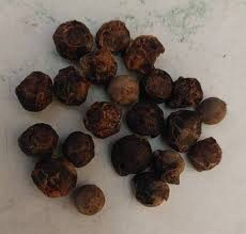 Sjeme Camphor, kapur, Kapoor Tree Seed Seed Price in India - Buy Sjeme ...
