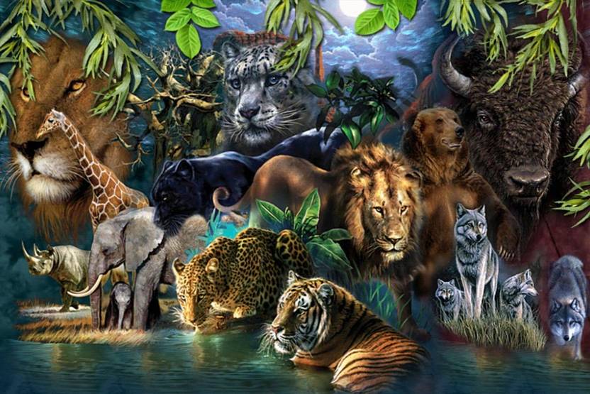 Wild Animals Poster - Forest Animals Poster - Jungle Animals Poster ...