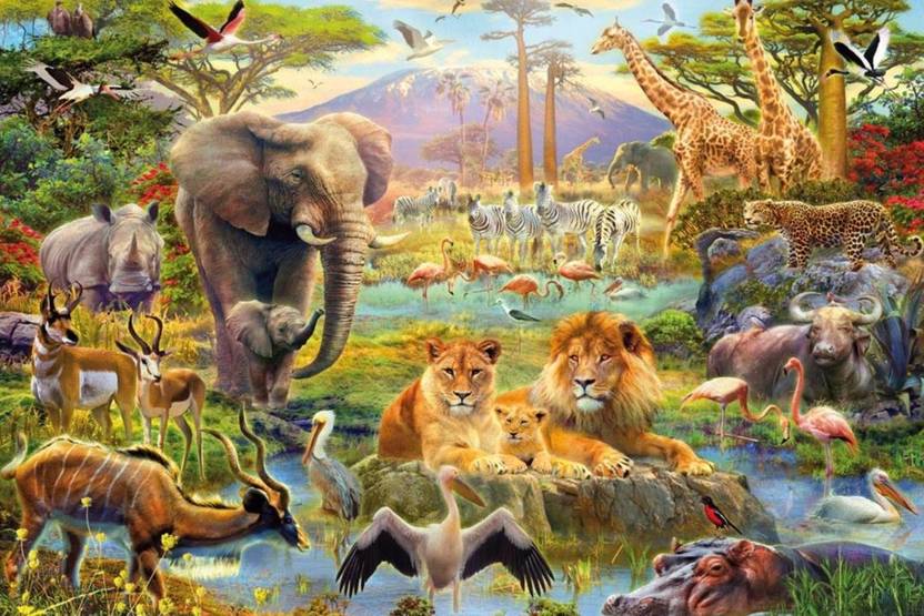 Wild Animals Poster - Forest Animals Poster - Jungle Animals Poster ...