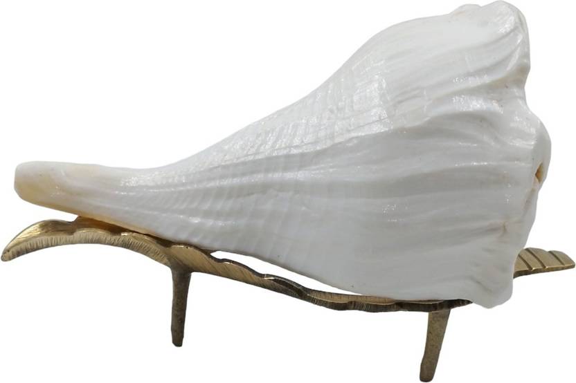 MAA MANSA DEVI Divine Conch with Stand Natural Valampuri Sangu for ...