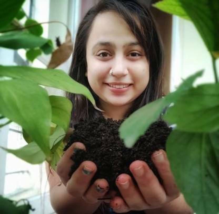 Behav Crazy About It VERMI COMPOST 5 Kg of Pure Natural ORGANIC Cow ...