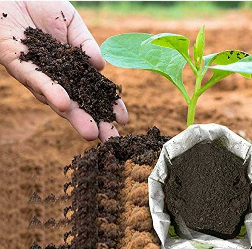 SHRI BADU BALAJI Vermicompost, Made from Cow Manure, Organic & Natural ...
