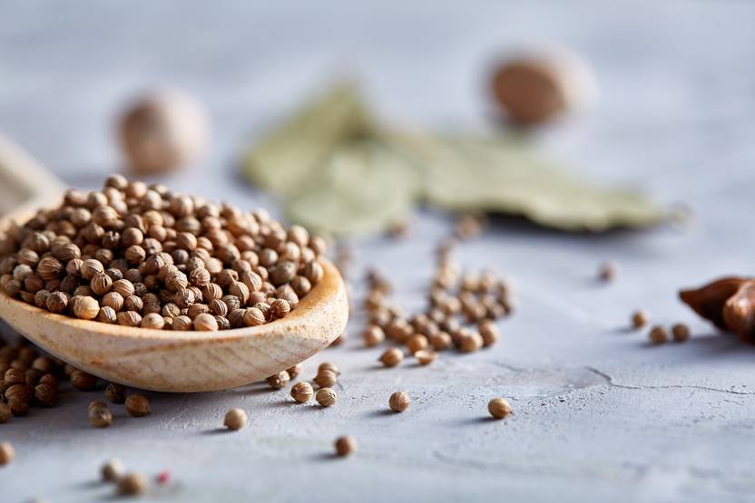 Andyshaun Corriander Whole |Dhaniya Seeds Price in India - Buy ...