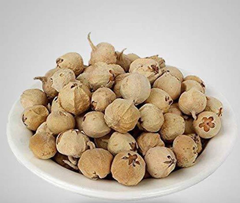 HERBALDUDE Paneer Doda | Indian Rennet | Withania Coagulans (Paneer ...