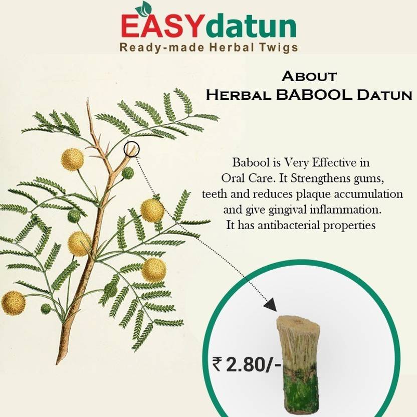 Easy Datun Fresh Babool Tooth Brush 30 Pcs. +1 Handle Soft Toothbrush ...