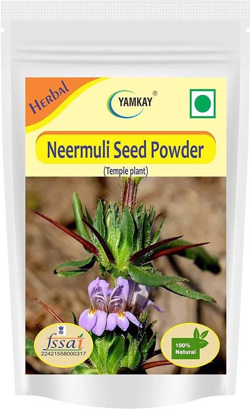 yamkay Neermulli Seed Hygrophila auriculata Marsh Barbel Auriculata ...