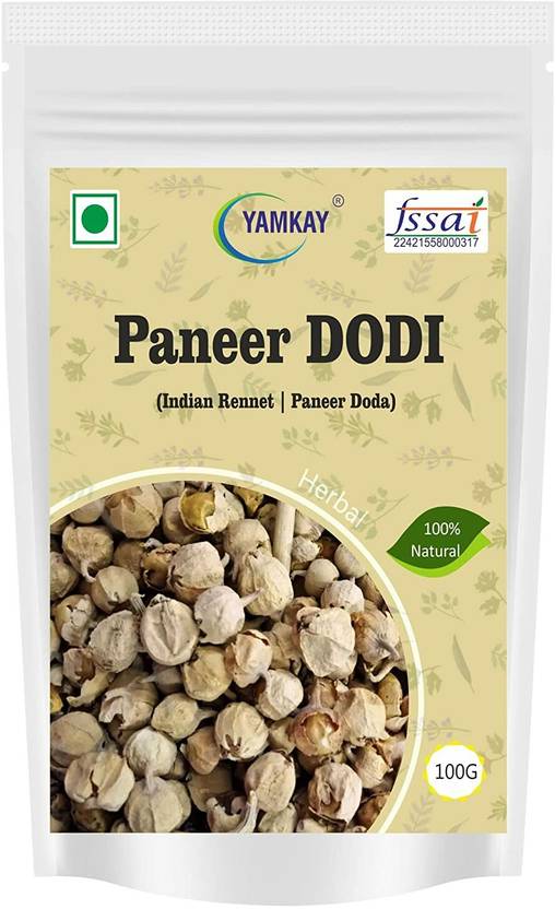 yamkay Paneer DODI | Indian Rennet | Paneer Doda | Withania Coagulans ...