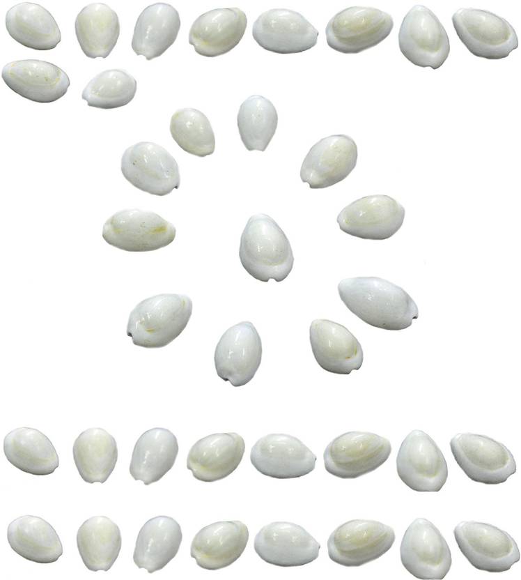 Firmus Kaudi / kawri / kodi/ sea shell for laxmi and Diwali pooja (1 KG ...