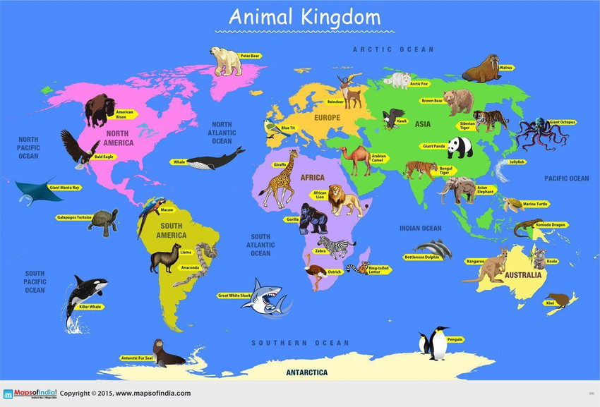Animal Kingdom Printable Map