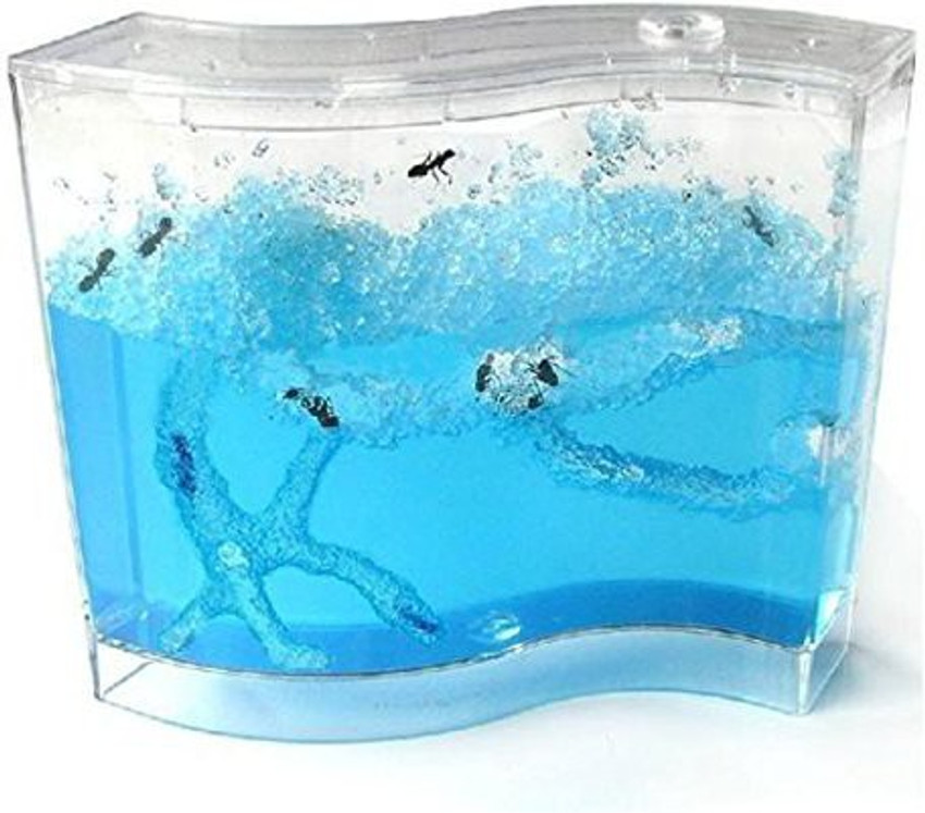 Jelly Ant Farming Material