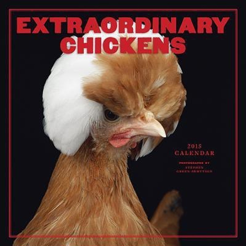 Extraordinary Chickens Calendar
