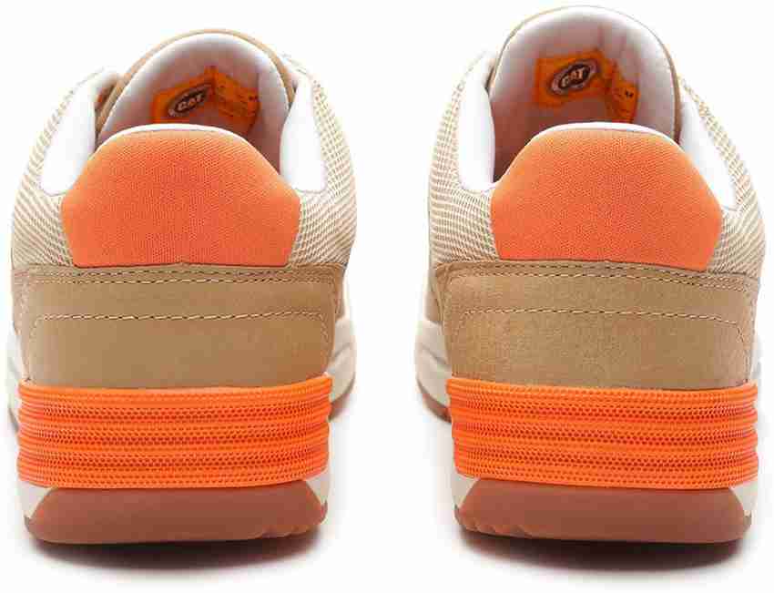 Cat In Running Shoes