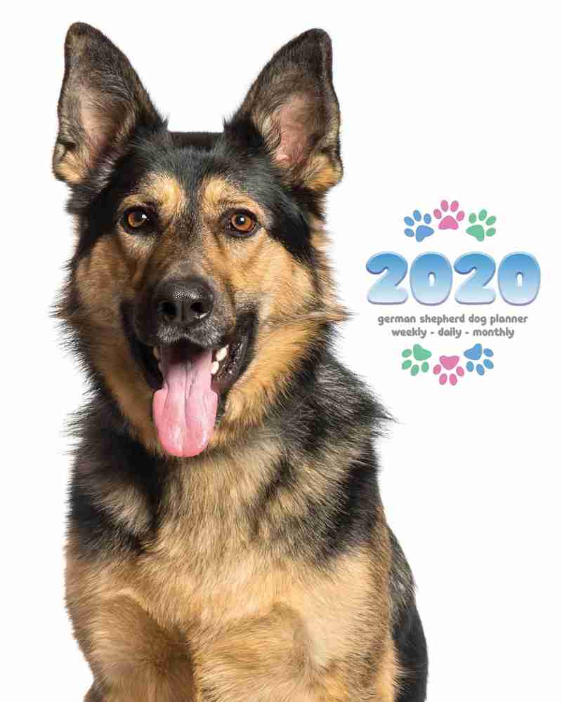 Dog German Shepherd Price