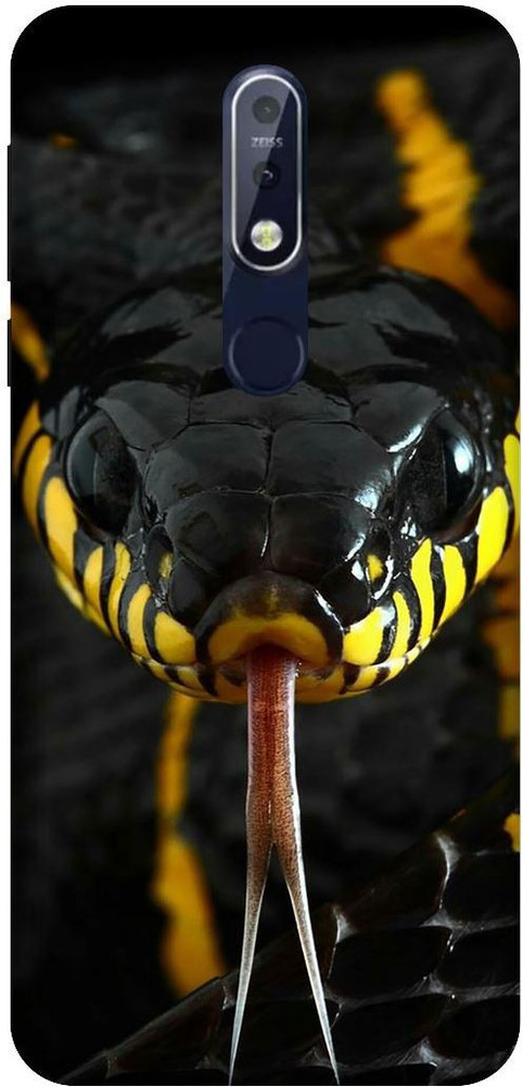 Black Anaconda Snake