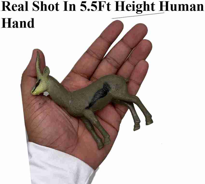 Real Miniature Animals