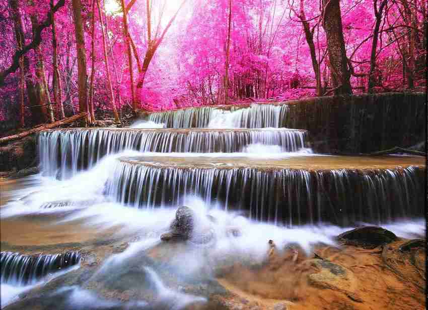 Beautiful Nature Views