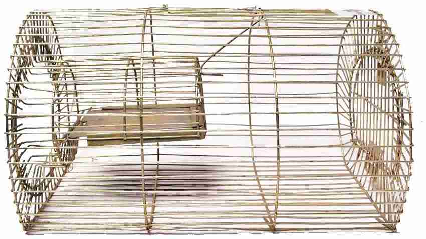 Big Mouse Cage