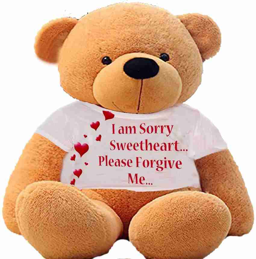 Sorry With Cute Teddy Bear