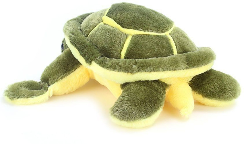 Tickling Turtle
