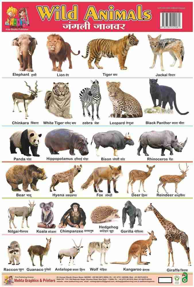 All Wild Animals Chart