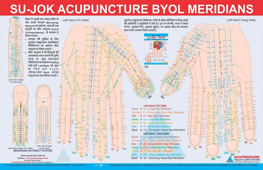 Acupuncture Meridian Lines
