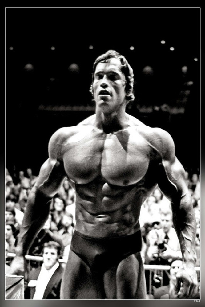Arnold Schwarzenegger Poster Quote