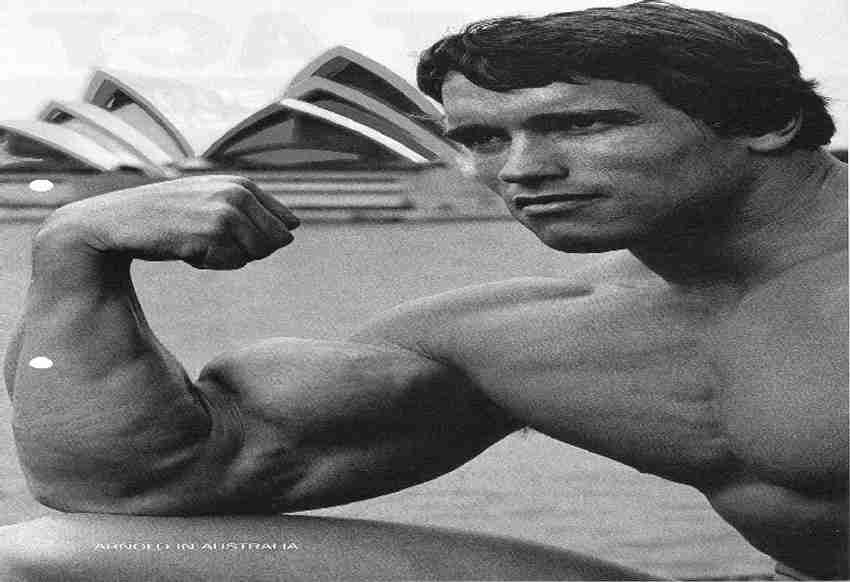 Arnold Schwarzenegger Bodybuilding Wallpapers Posters And Pictures