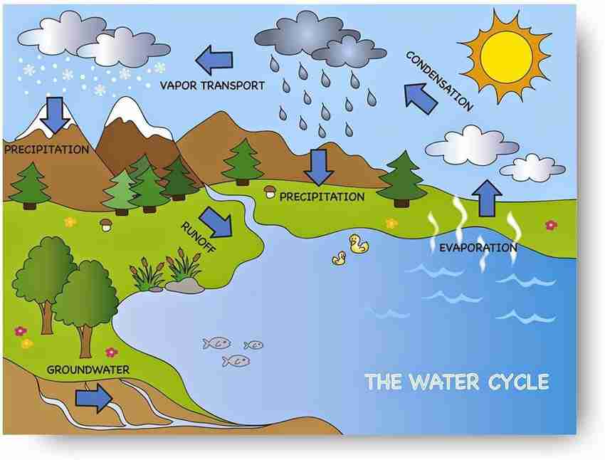 Water Cycle Poster