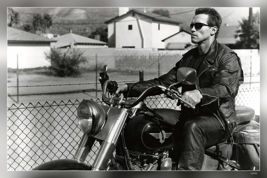 Terminator 2 Arnold Schwarzenegger