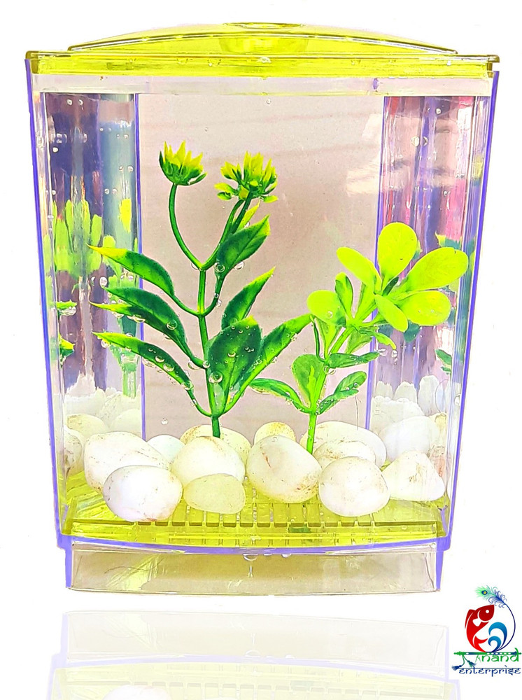 Betta Fish Bowl Bottle
