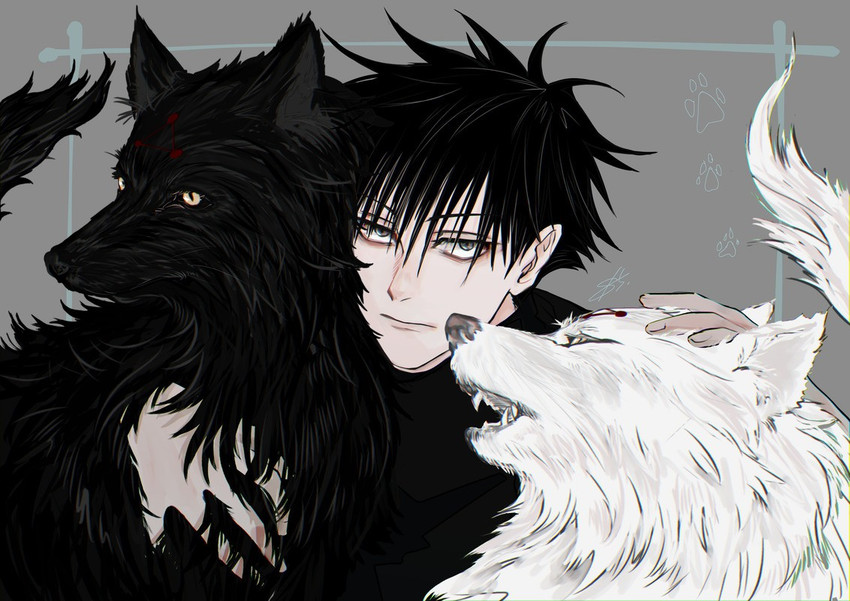 Anime Wolf Boy With Black Hair