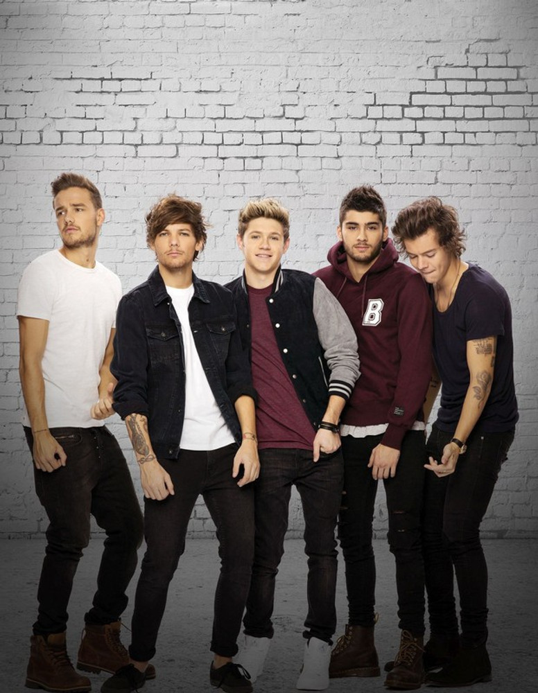Funny One Direction Concert Poster Ideas