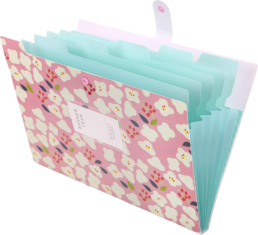 Accordion Folder For Girls