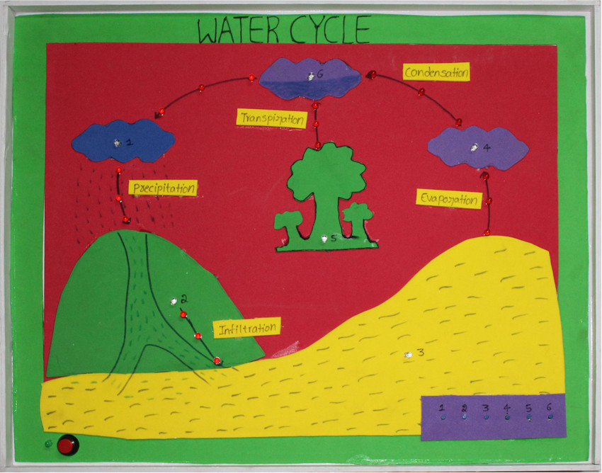 Water Cycle Working Model