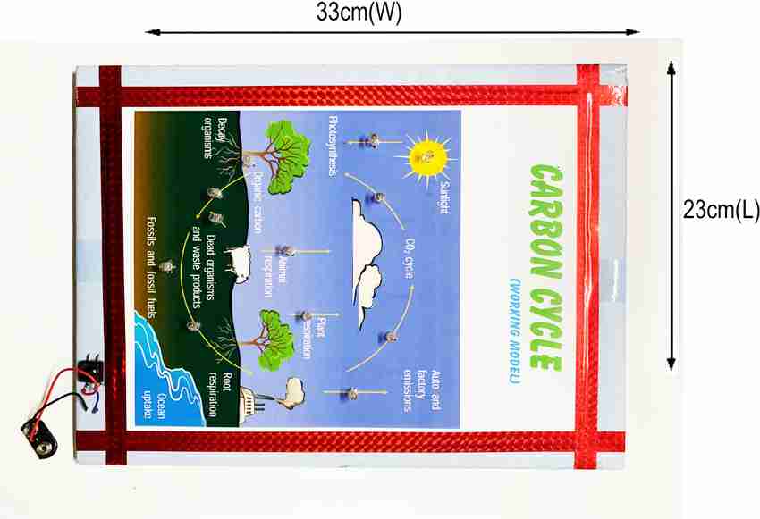 Carbon Model Project