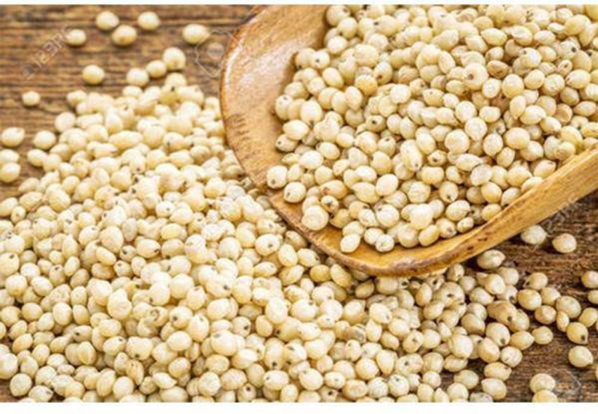 Jowar Grains