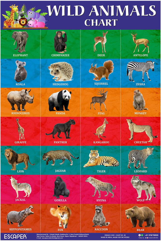 Indian Animals Chart