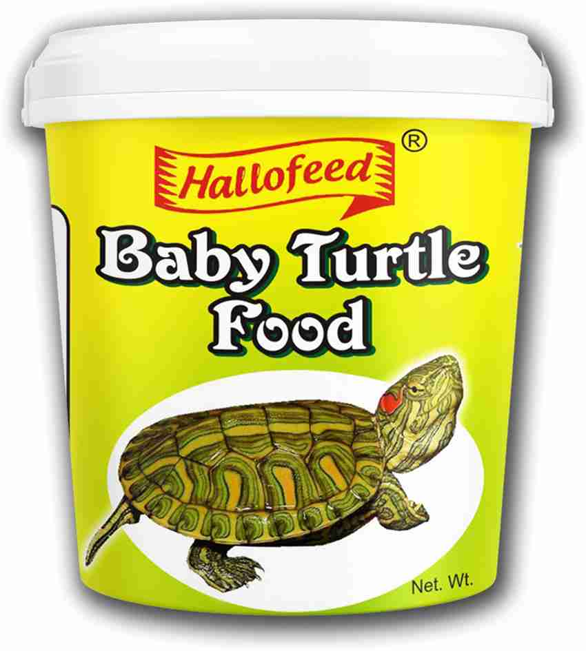 Baby Turtle Eating
