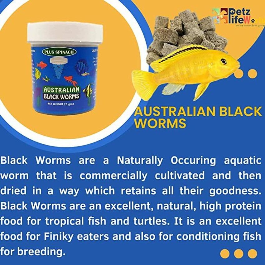 Black Worms For Fish