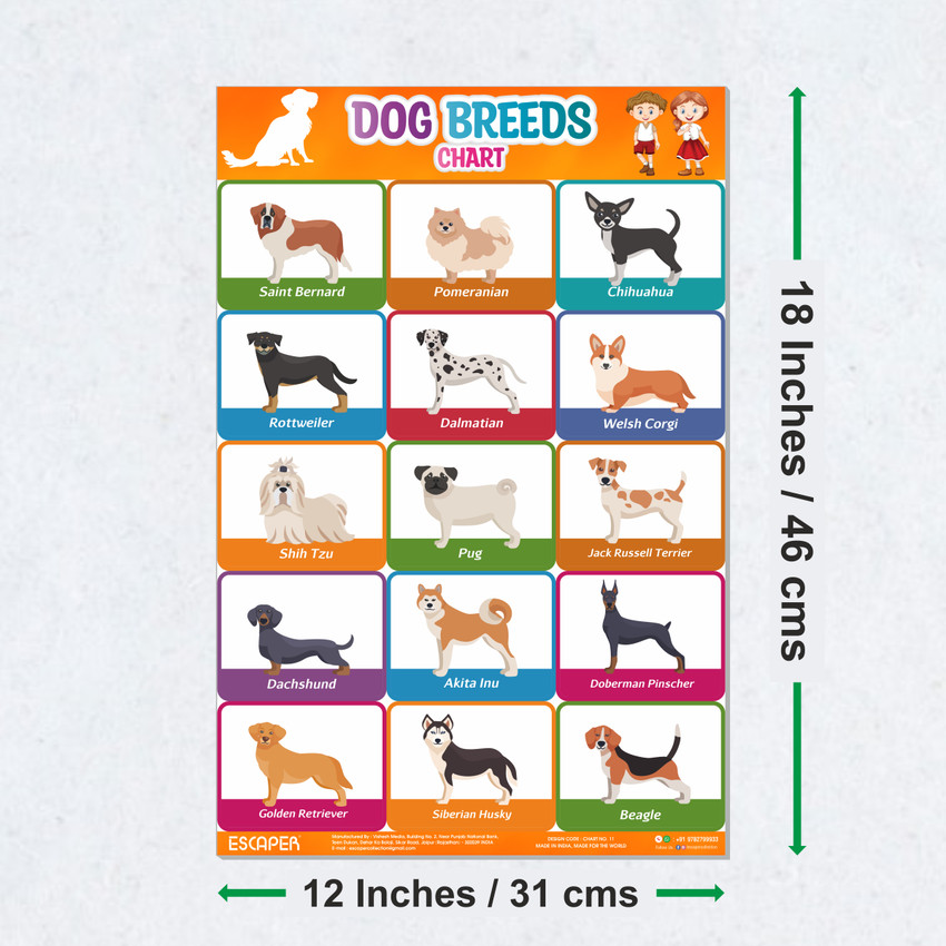 Dog Breed Chart