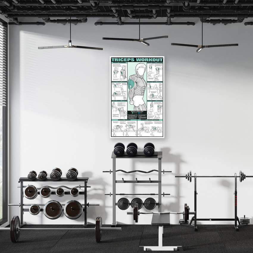 Algra Triceps Workout 24 X 36 Laminated Chart For Beginners Chair ...