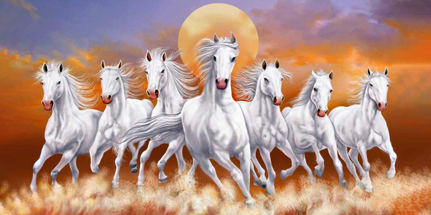 7 Horses Wallpaper Hd