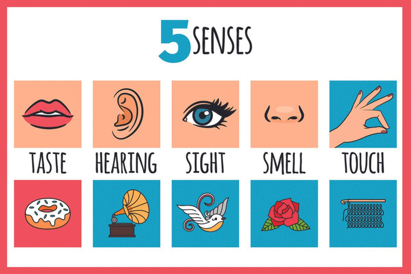 Educational Posters For Kids Room