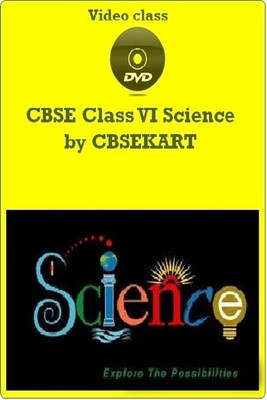 Buy CBSEKart CBSE - Science (Class 6) on Flipkart | PaisaWapas.com